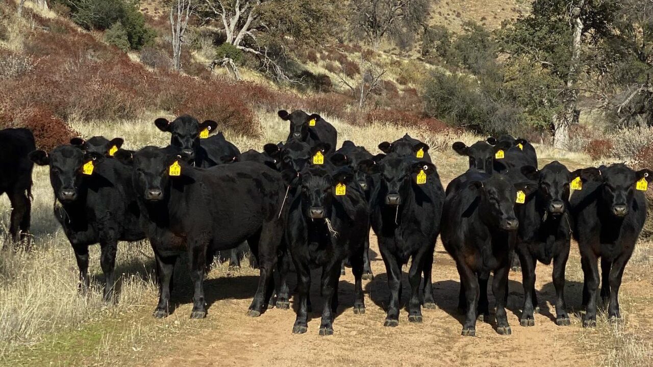 Spanish Ranch - El Rancho Espanol de Cuyama - Spanish Ranch